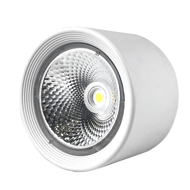 Surface Mounted Led Spotlights AD-M302-12W