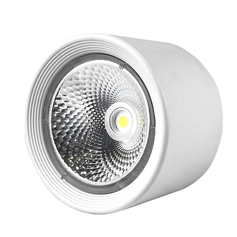 Surface Mounted Led Spotlights AD-M302-25W